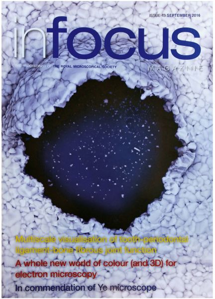 Nadja's SEM image on the cover of September 'Infocus': QMUL NanoVision ...