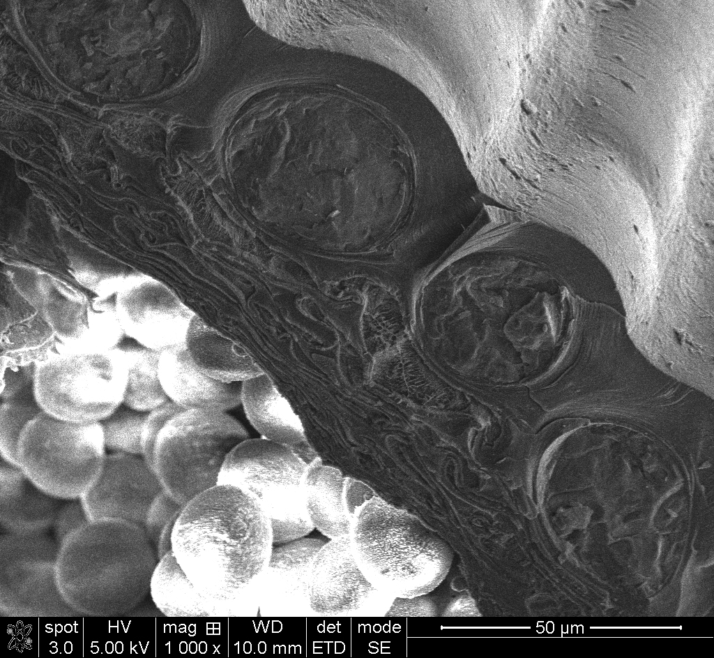 QMUL NanoVision Centre